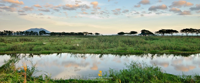 PAMPANGA | Glorious Sunrise at the Candaba Ricefields - Lakad Pilipinas